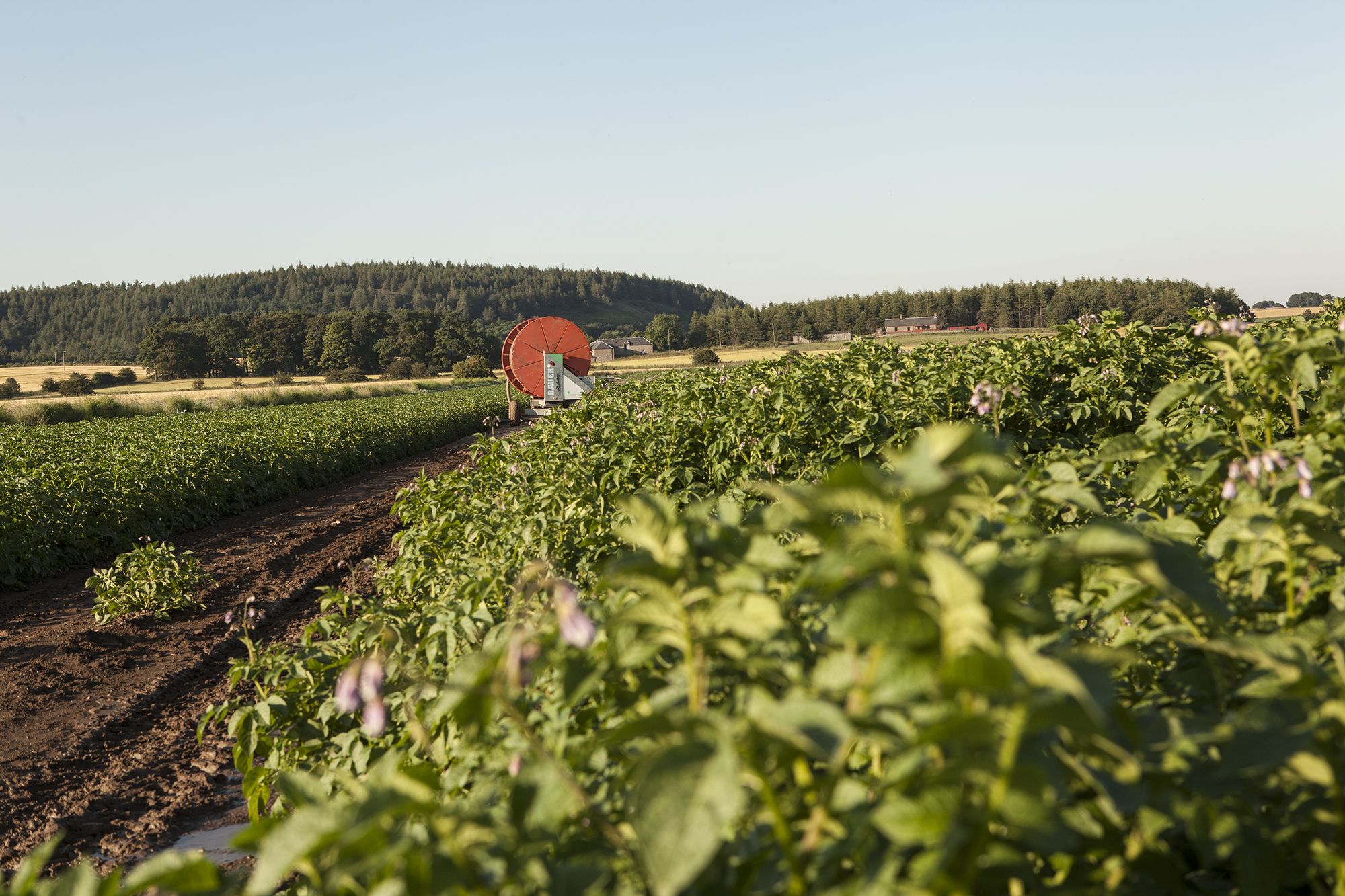 What does 'single estate' actually mean? | Master of Malt blog