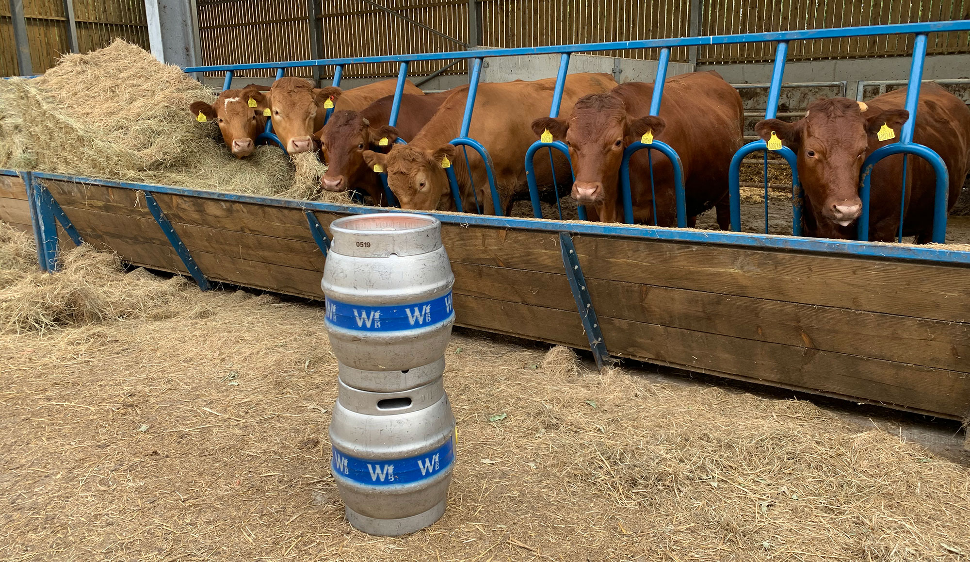 The Nightcap: 3 July | Master of Malt blog