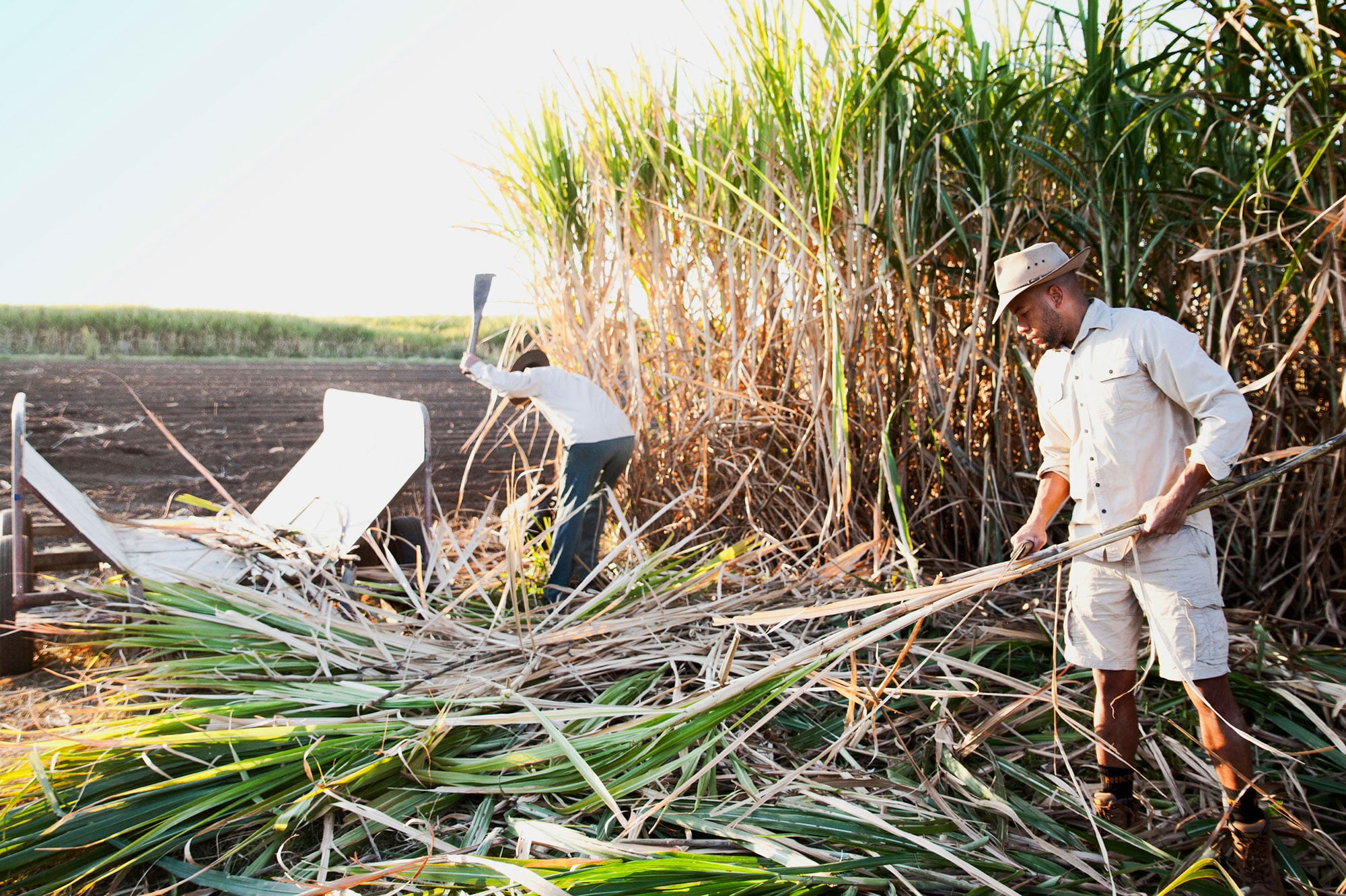New Arrival of the Week: Husk Pure Cane | Master of Malt blog