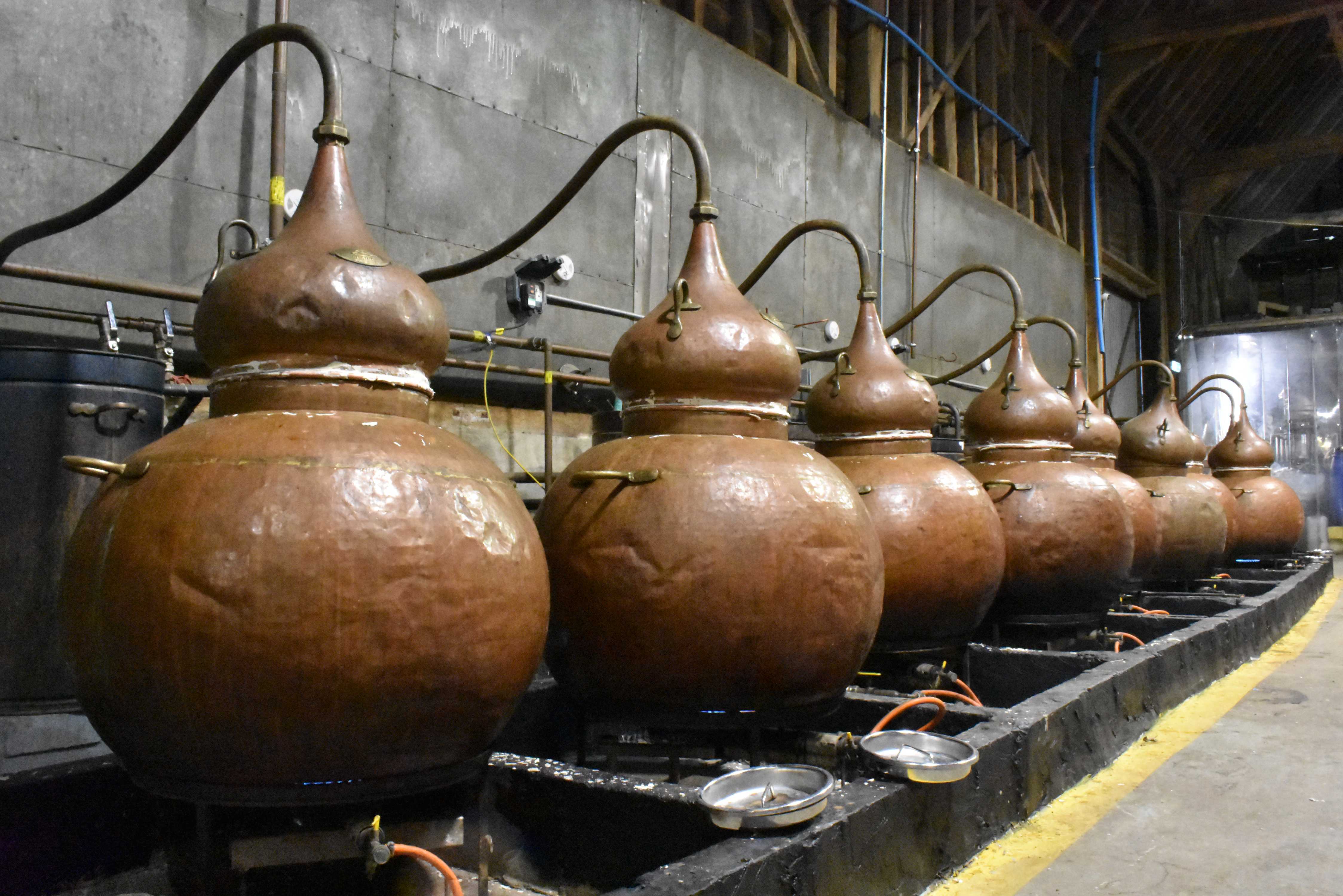 Exploring the Wide World of British Rum | Master of Malt blog