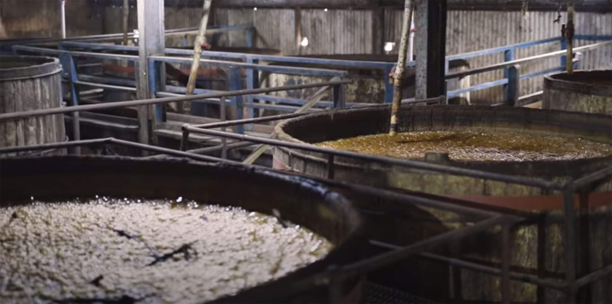 5 amazing facts about the history of rum that you probably didn’t know ...