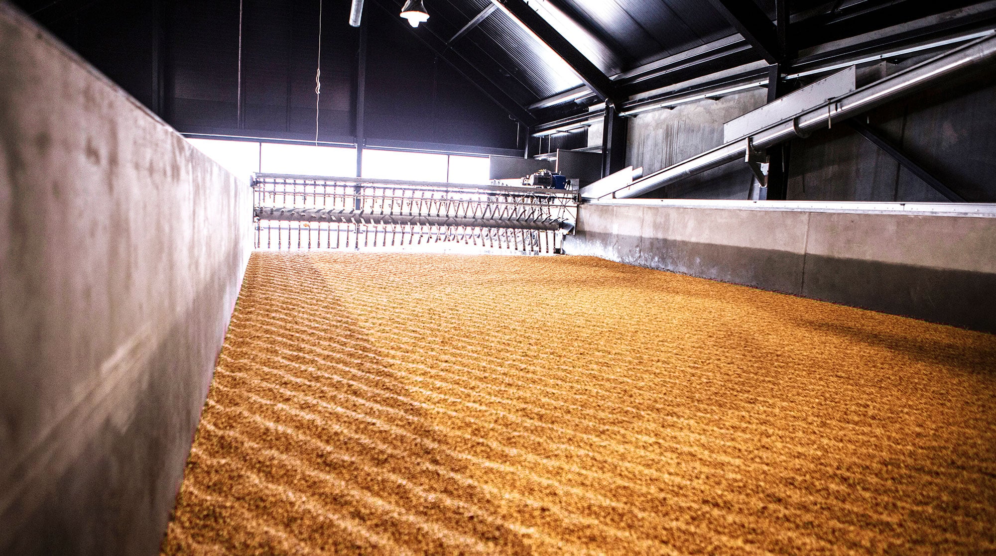 Your guide to the emerging New World whisky category | Master of Malt blog