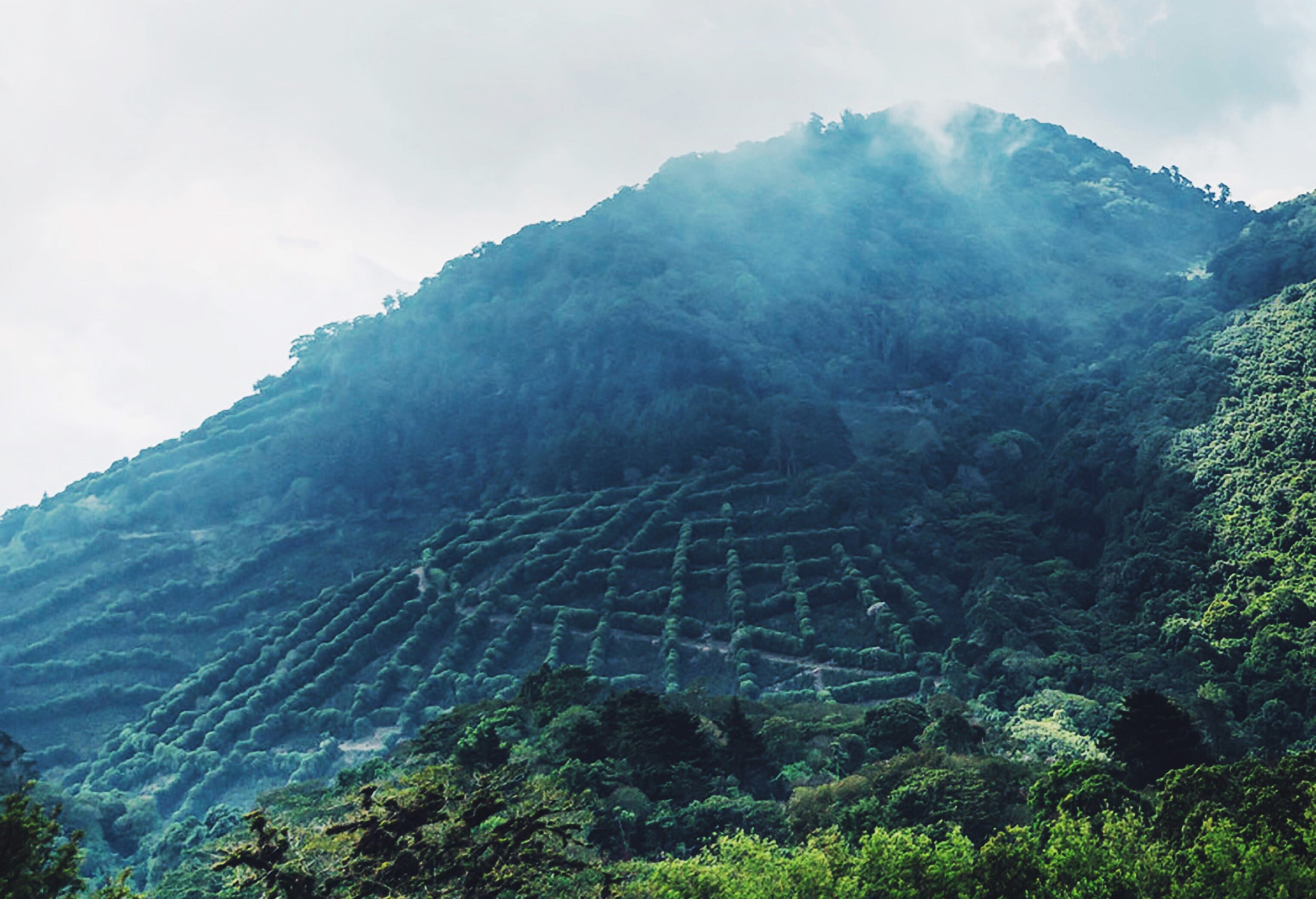 Discovering El Salvador’s Ron Colón | Master of Malt blog