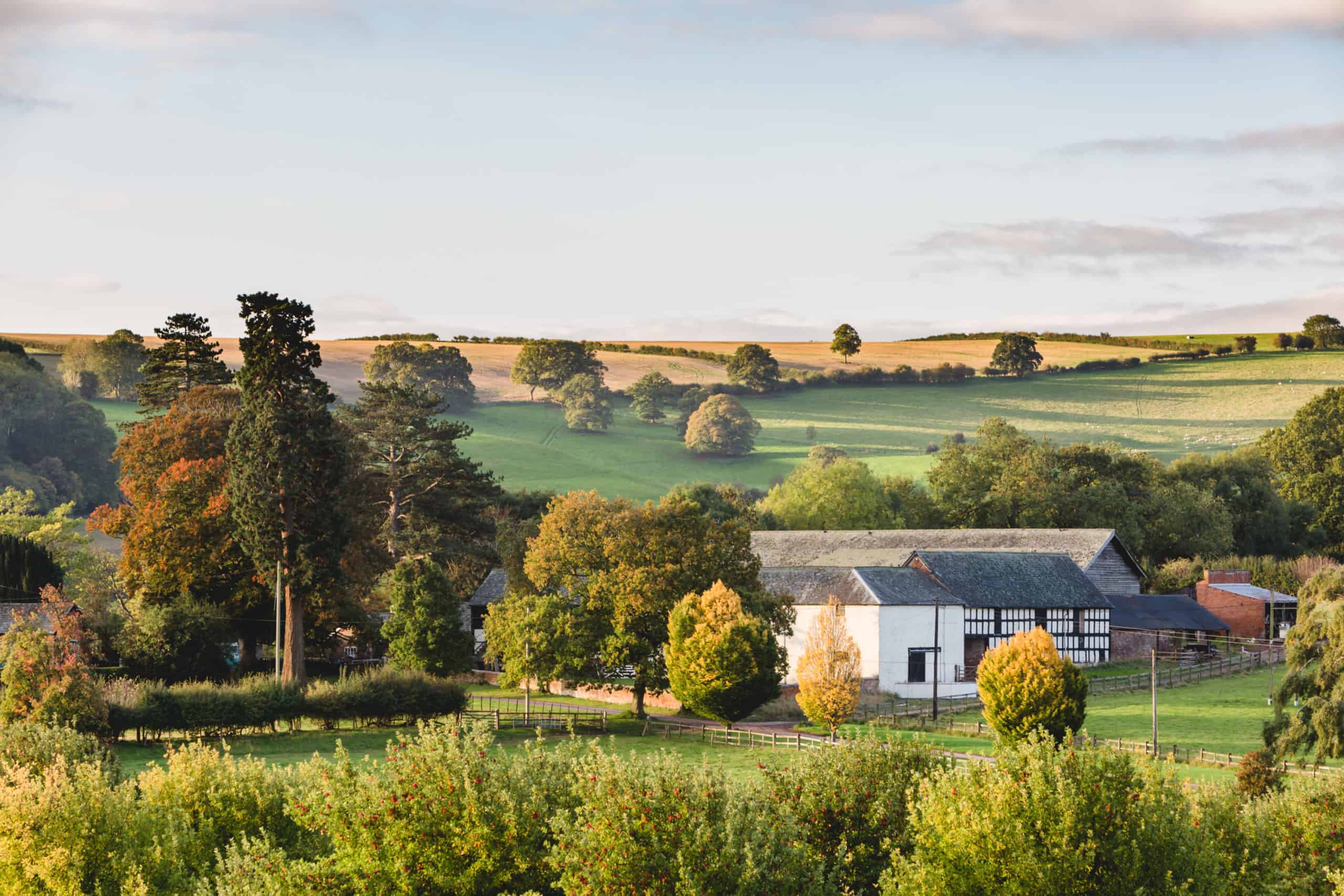 Gattertop Spirits: Herefordshire In A Glass | Master of Malt blog