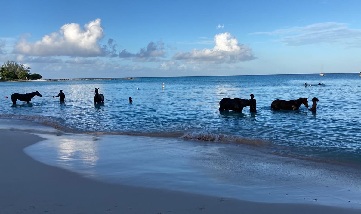 Tales From The Barbados Rum Experience: Day One | Master of Malt blog